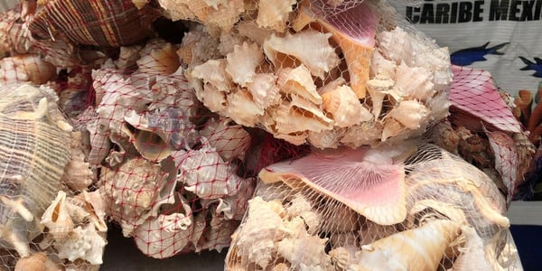 Souvenirs in Isla Mujeres