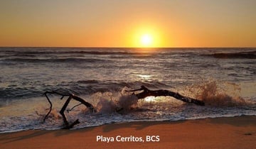 Las 21 Mejores Playas de México: Un Paraíso para Cada Viajero